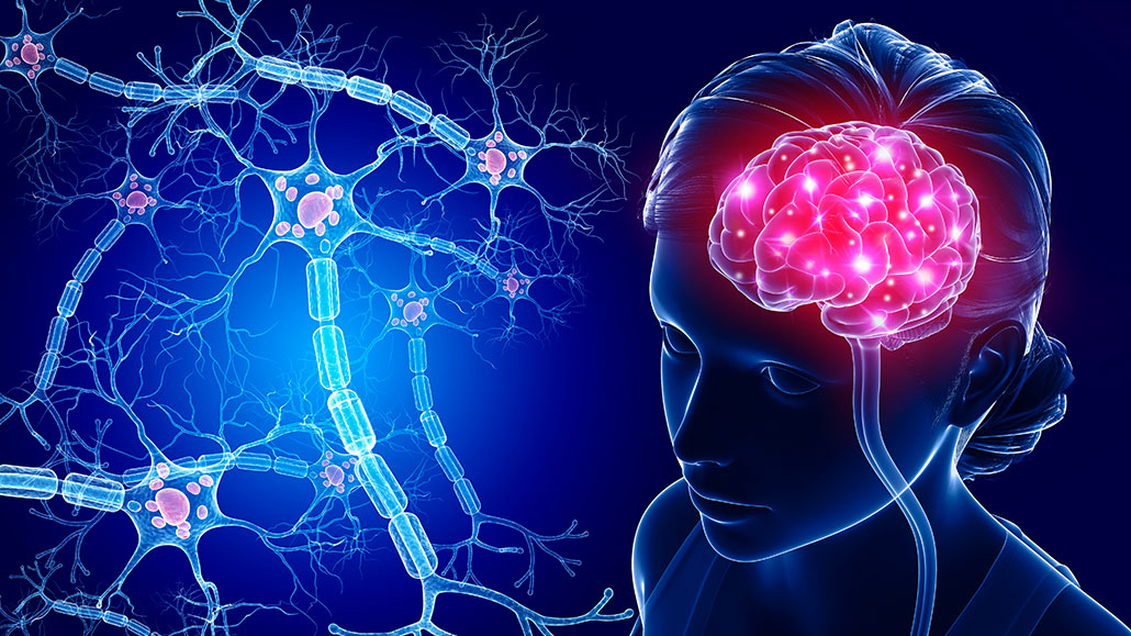 THE COMPLEXITY OF A SINGLE BRAIN NEURON – Chugley's Chatter